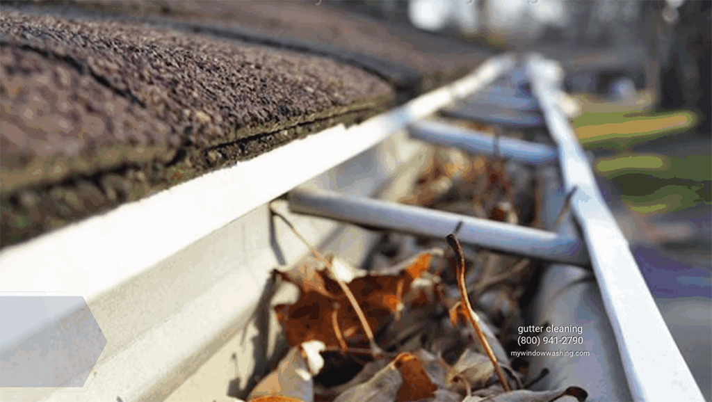 Everything You Need To Know About What’s Included In Gutter Cleaning